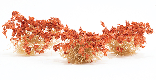 CA0312 - Rust Brittle Bushes, 3 Pieces